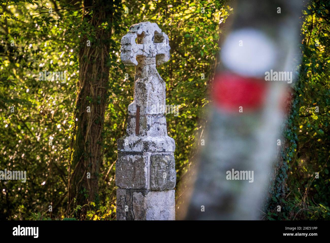 Pilgrims' cross at the exit of Roncesvalles Stock Photo - Alamy