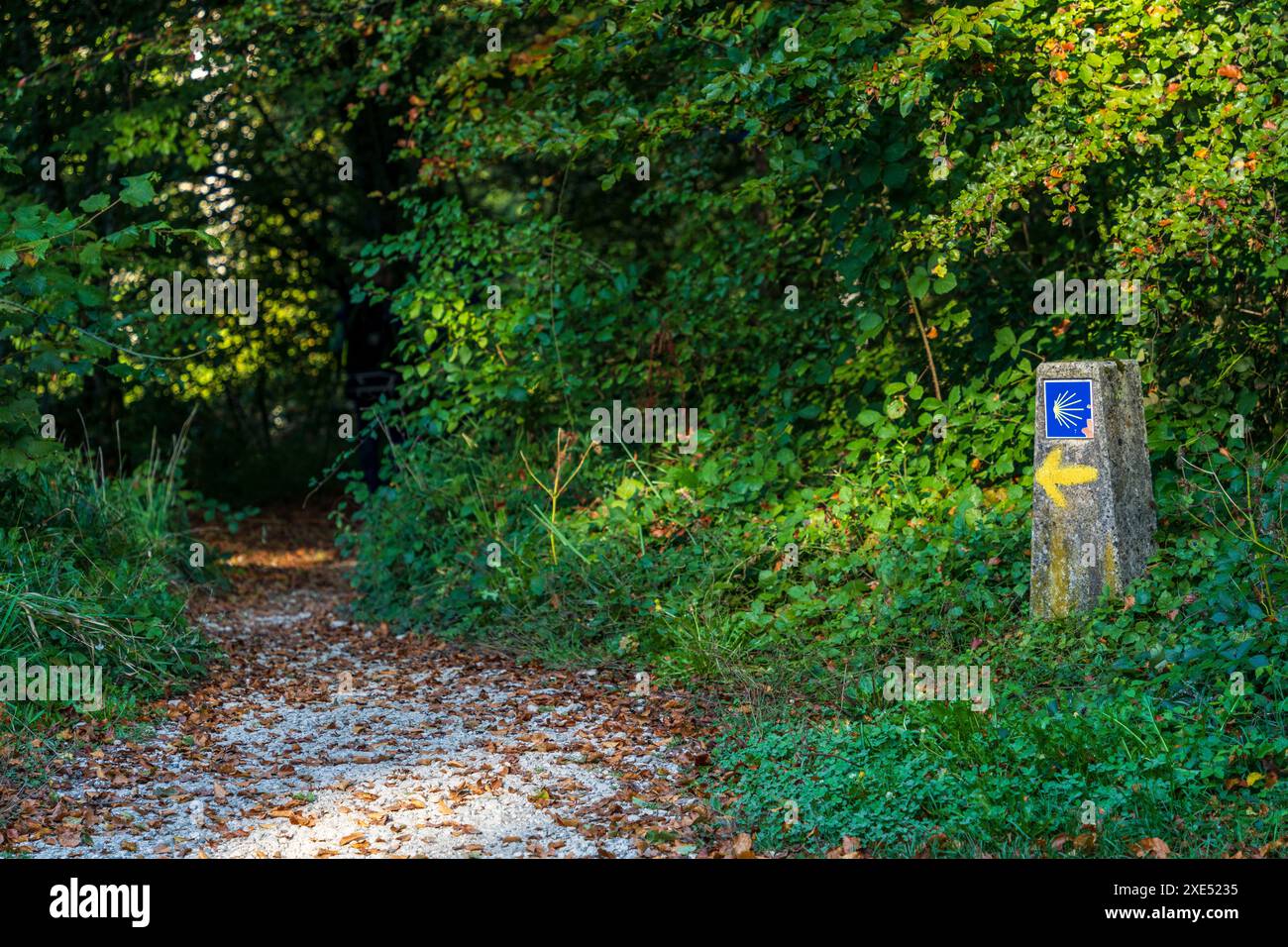 Pilgrims walking on the path Stock Photo - Alamy