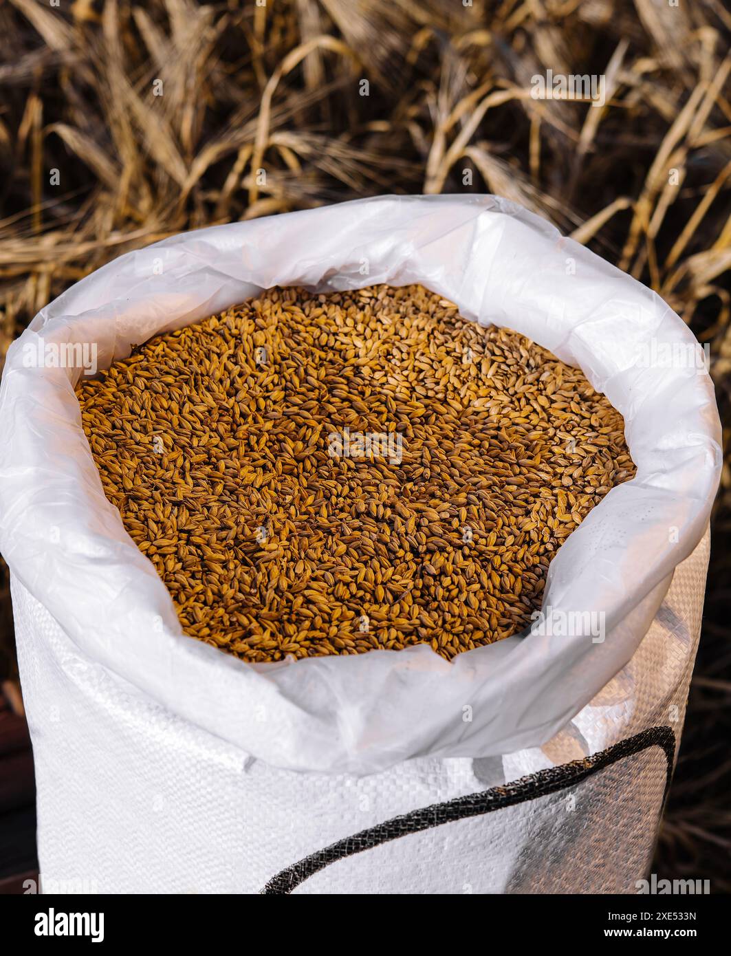 Industrial bag hi-res stock photography and images - Alamy