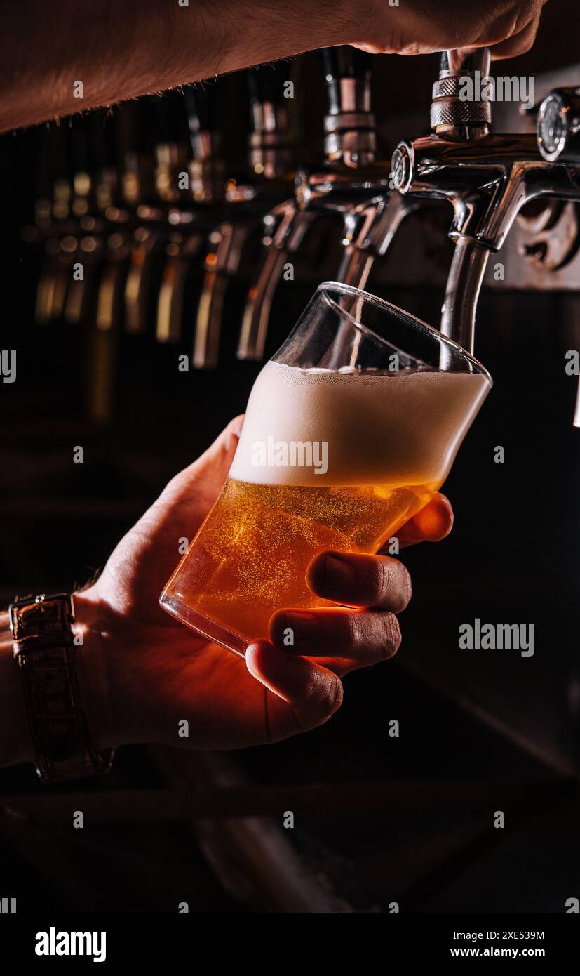 Close-up of barman hand at beer tap pouring a draught lager beer Stock ...