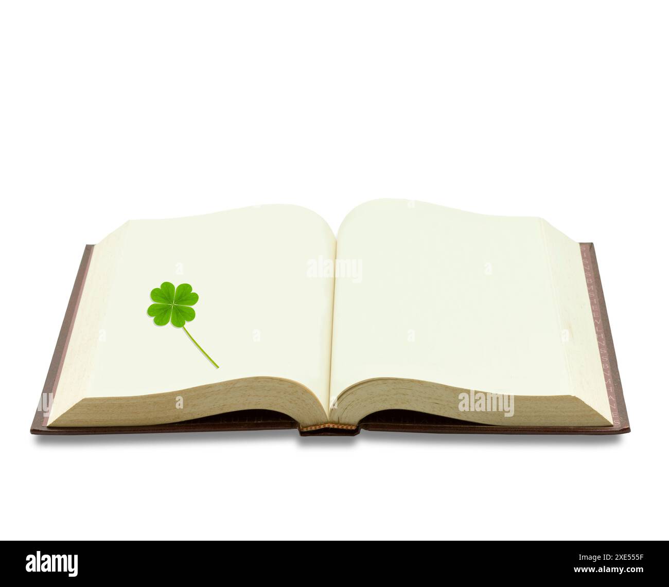 Book with leaf hi-res stock photography and images - Alamy