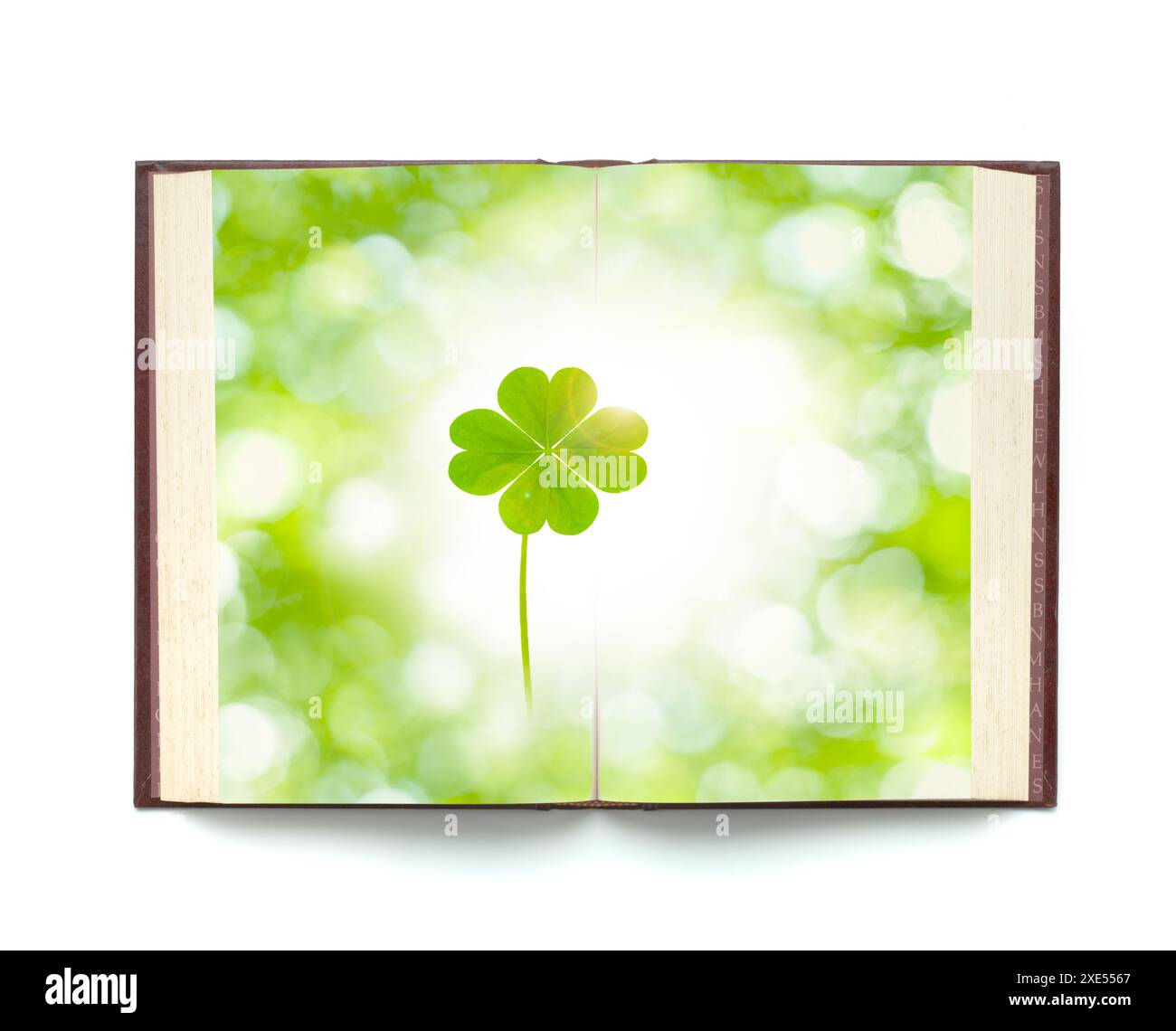 Book and four-leaf clover Stock Photo - Alamy