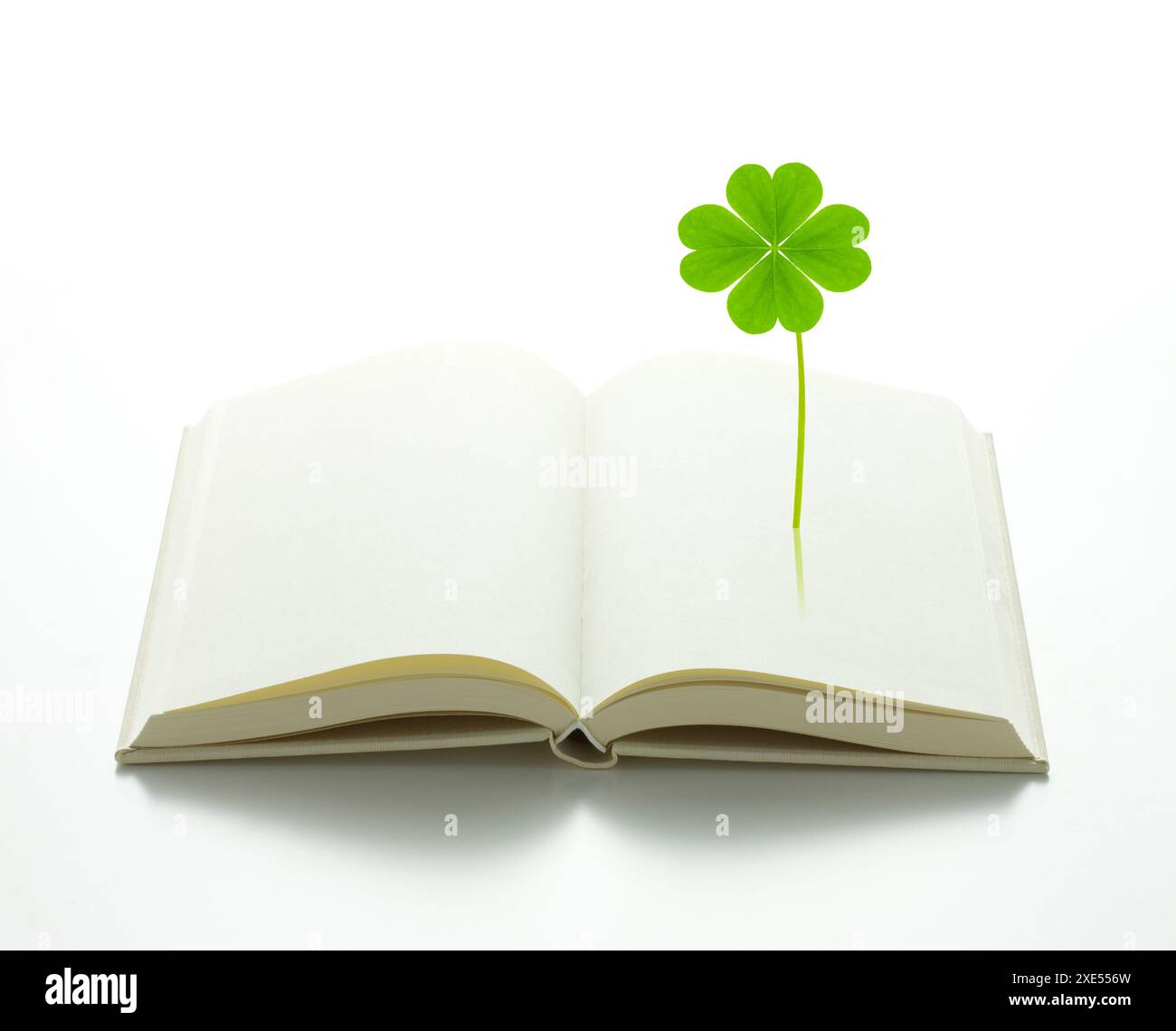 Book and four-leaf clover Stock Photo - Alamy