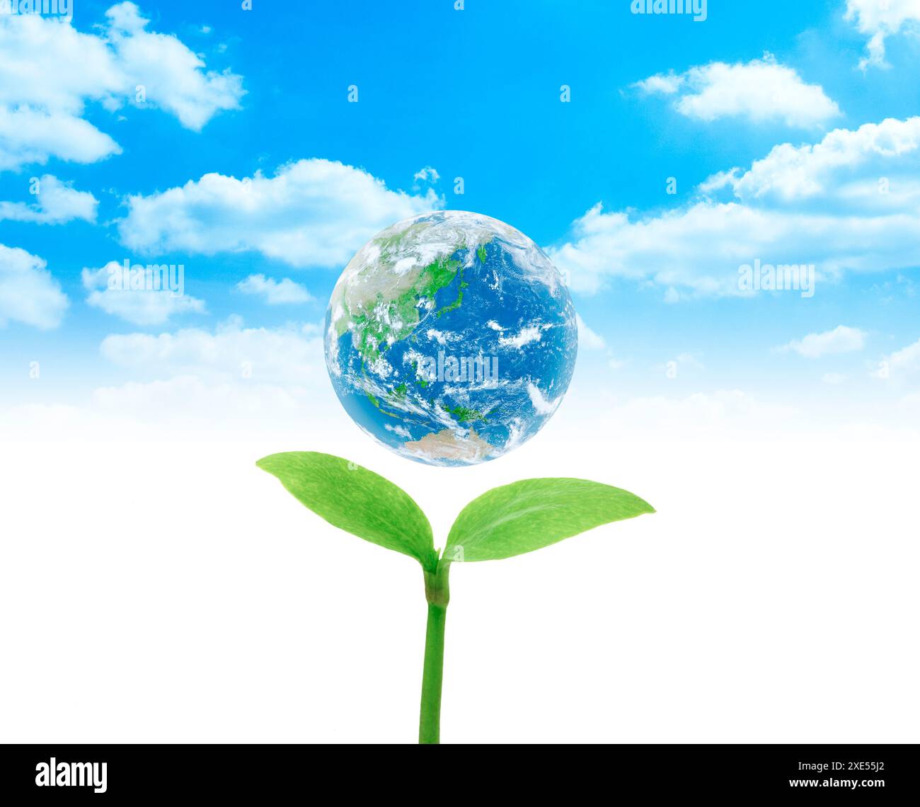 Earth and sprouts Stock Photo - Alamy