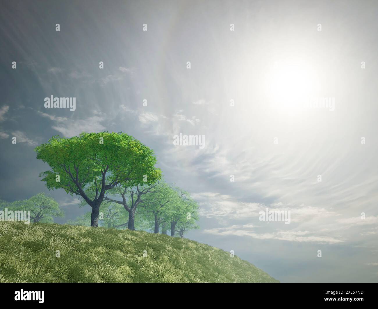 Dynamic sunlight and green hills and rows of trees Stock Photo - Alamy