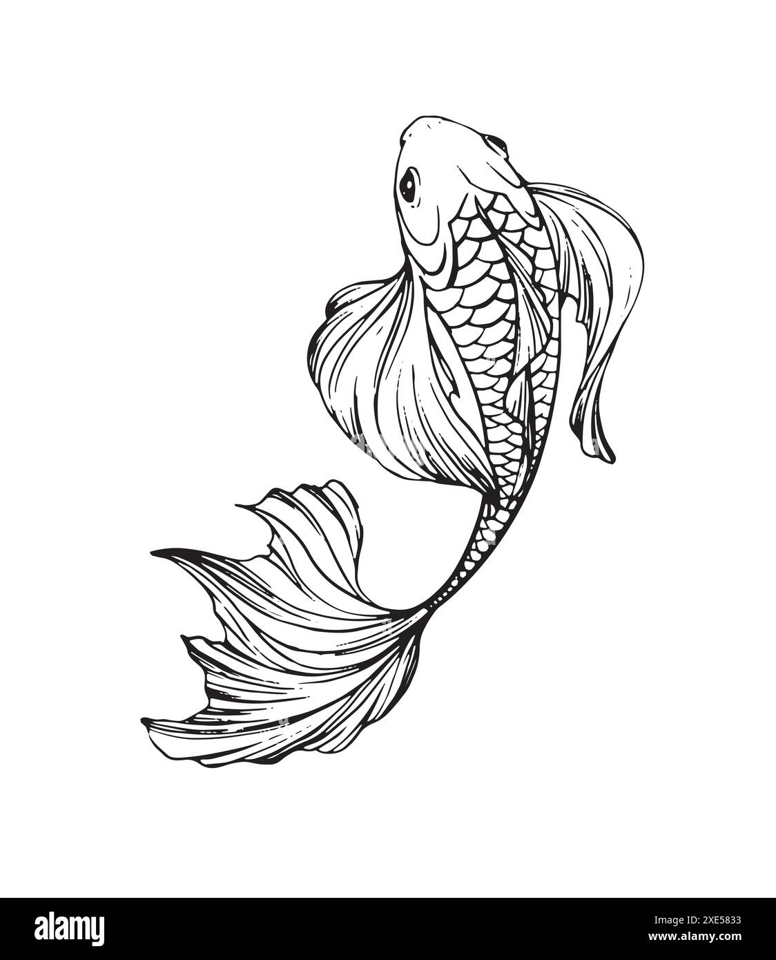 Hand-drawn fish vector illustration in black and white. Detailed line ...