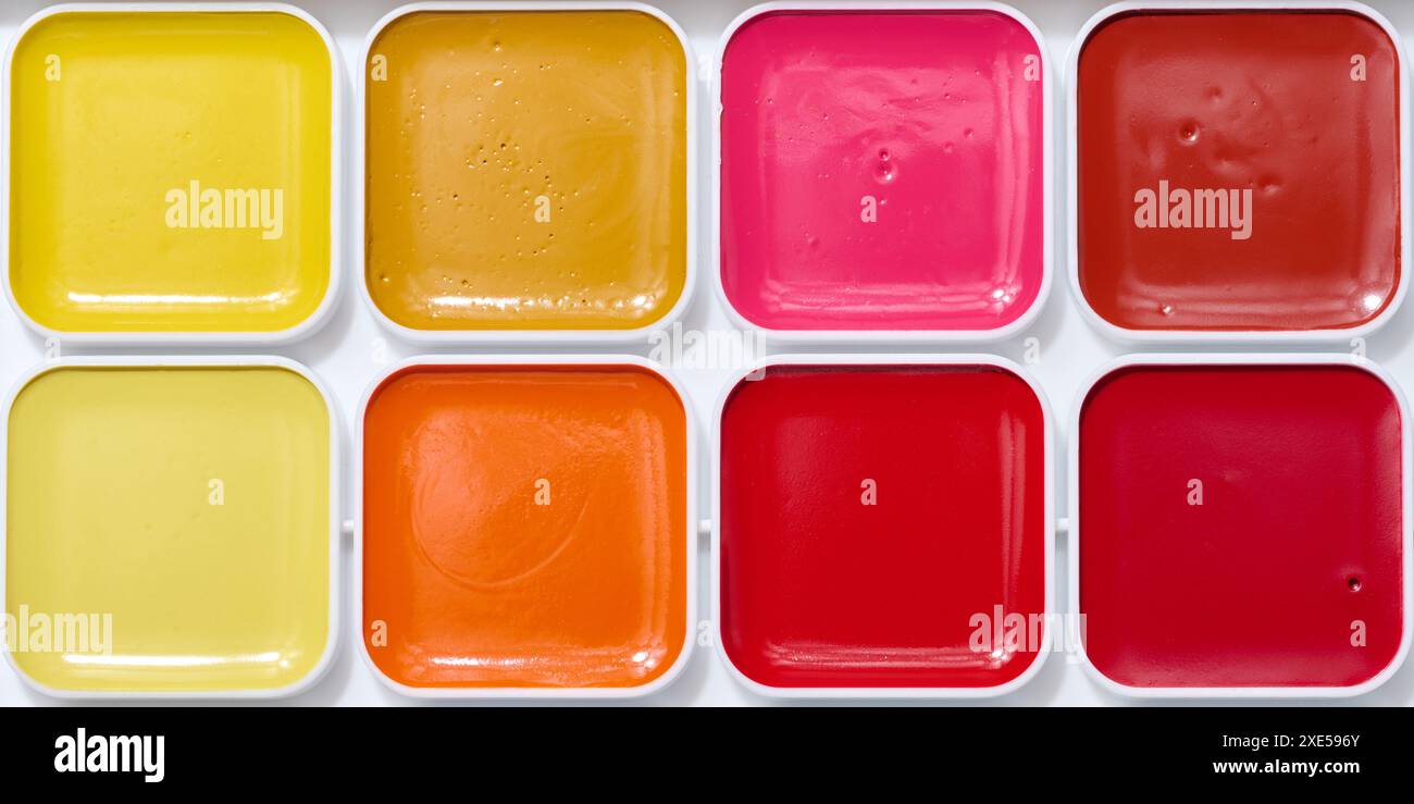 Watercolor paint palette, object for drawing and creativity Stock Photo ...
