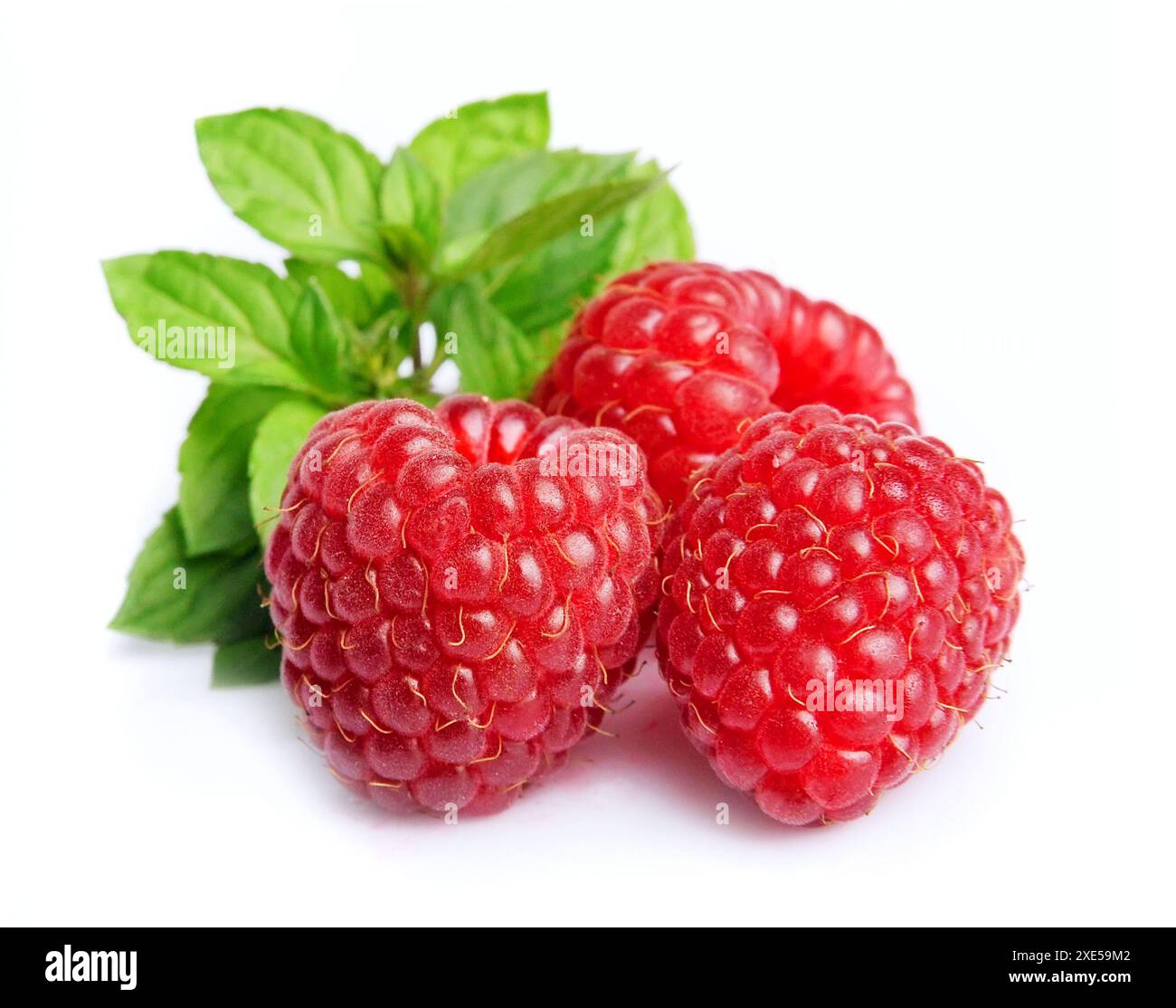 Sweet raspberry with mint Stock Photo - Alamy