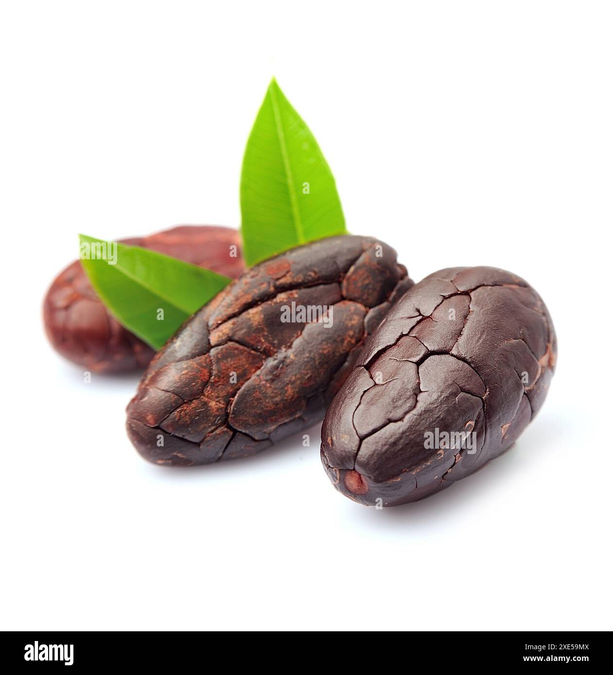 Close up of leaves and seeds hi-res stock photography and images - Alamy