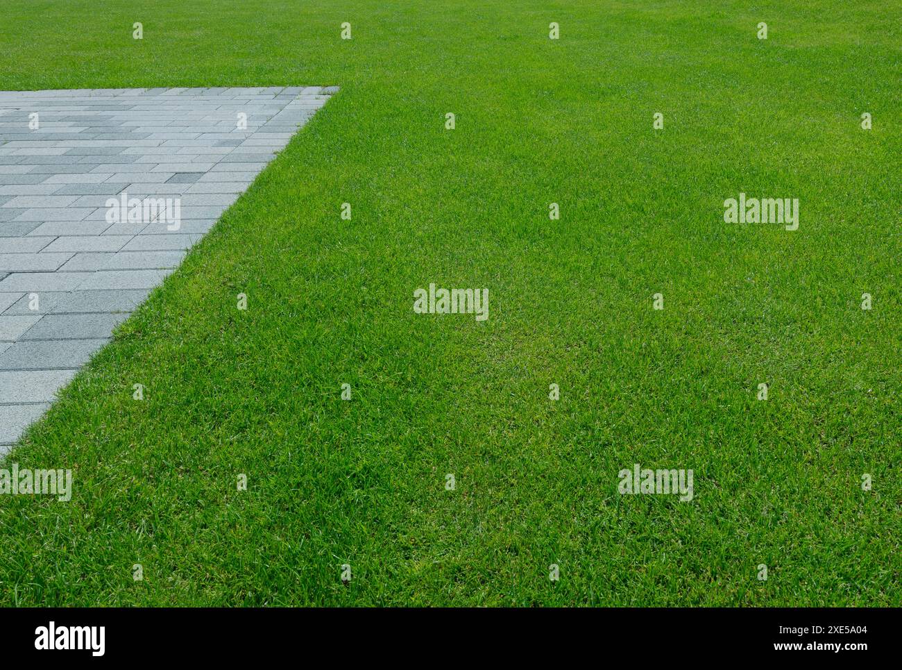 Cobblestone pavement and grass square Stock Photo - Alamy