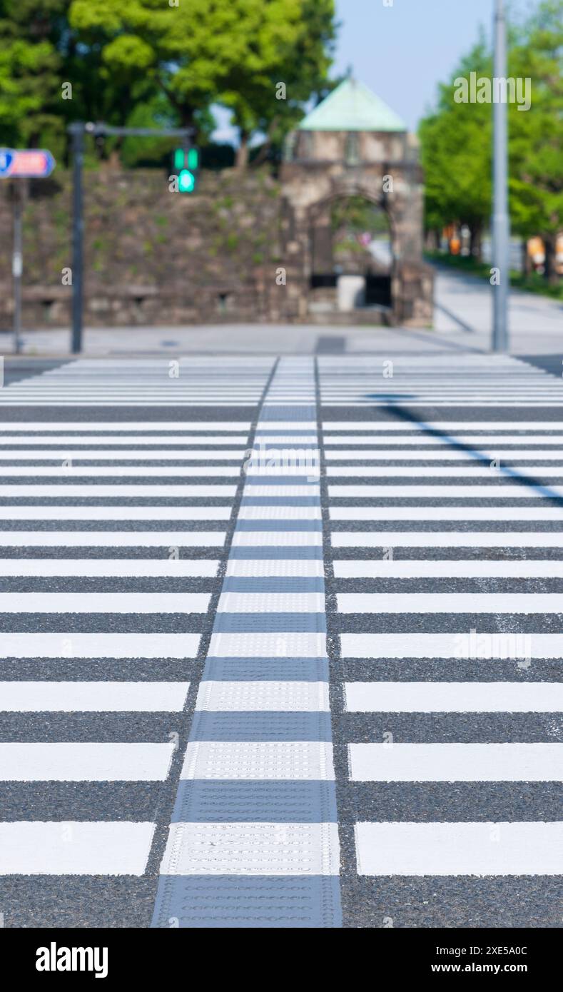 Pedestrian crossing at Wadakuromon intersection Stock Photo - Alamy