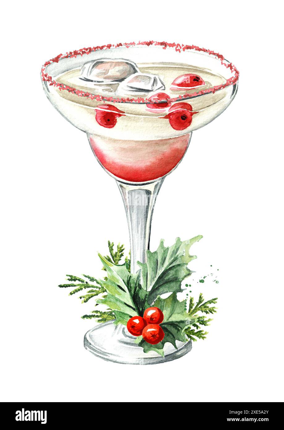 Festive Christmas Cranberry Margarita cocktail. Hand drawn watercolor ...