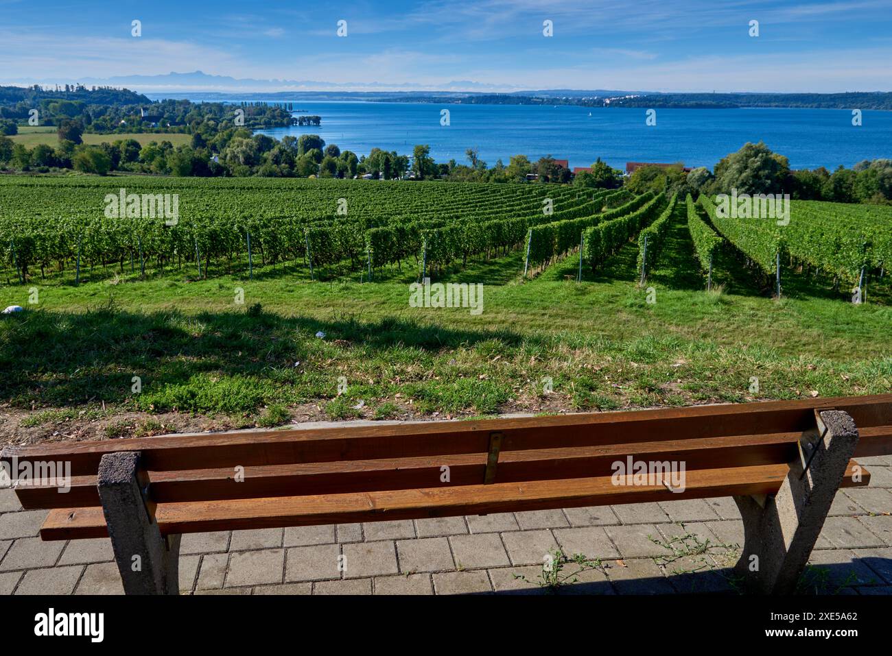 Bench Amidst Vineyards, Overlooking a Mountain Lake and Peaks. Resting ...