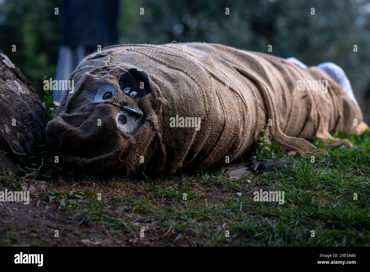 One halloween Burlap-Wrapped Mummy Figure on Ground Stock Photo - Alamy