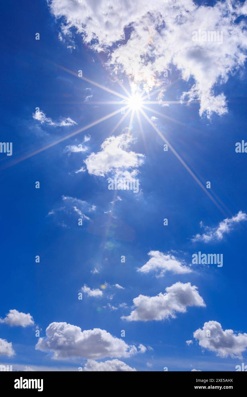 Koto Ward, Tokyo, Japan Stock Photo - Alamy