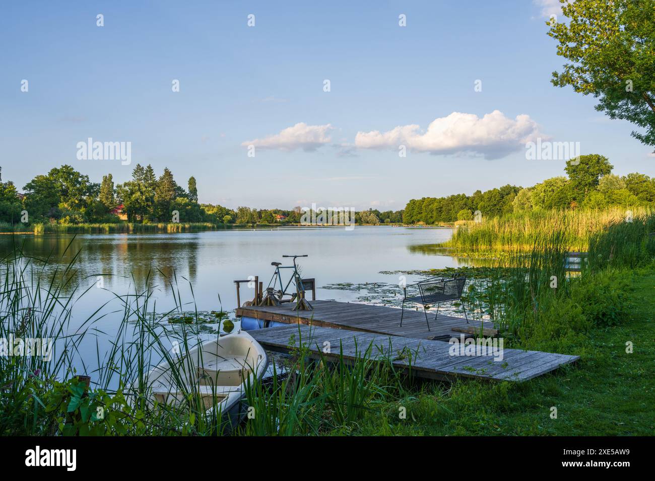 Country summer motif. Small lake, green shore. A wooden pier extending ...