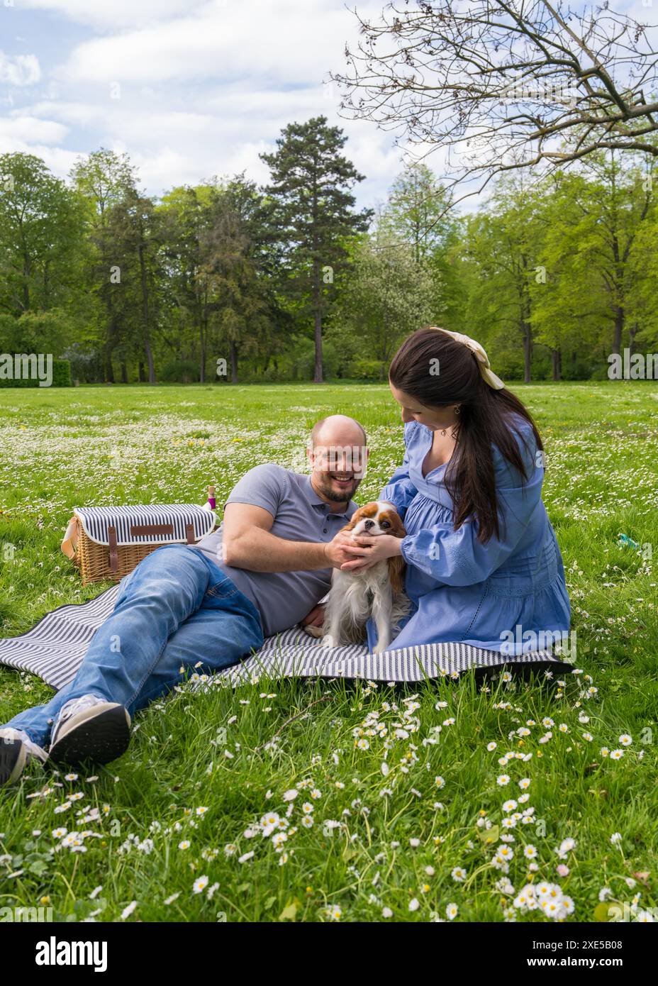 Beautiful smiling couple preparing picnic hi-res stock photography and ...