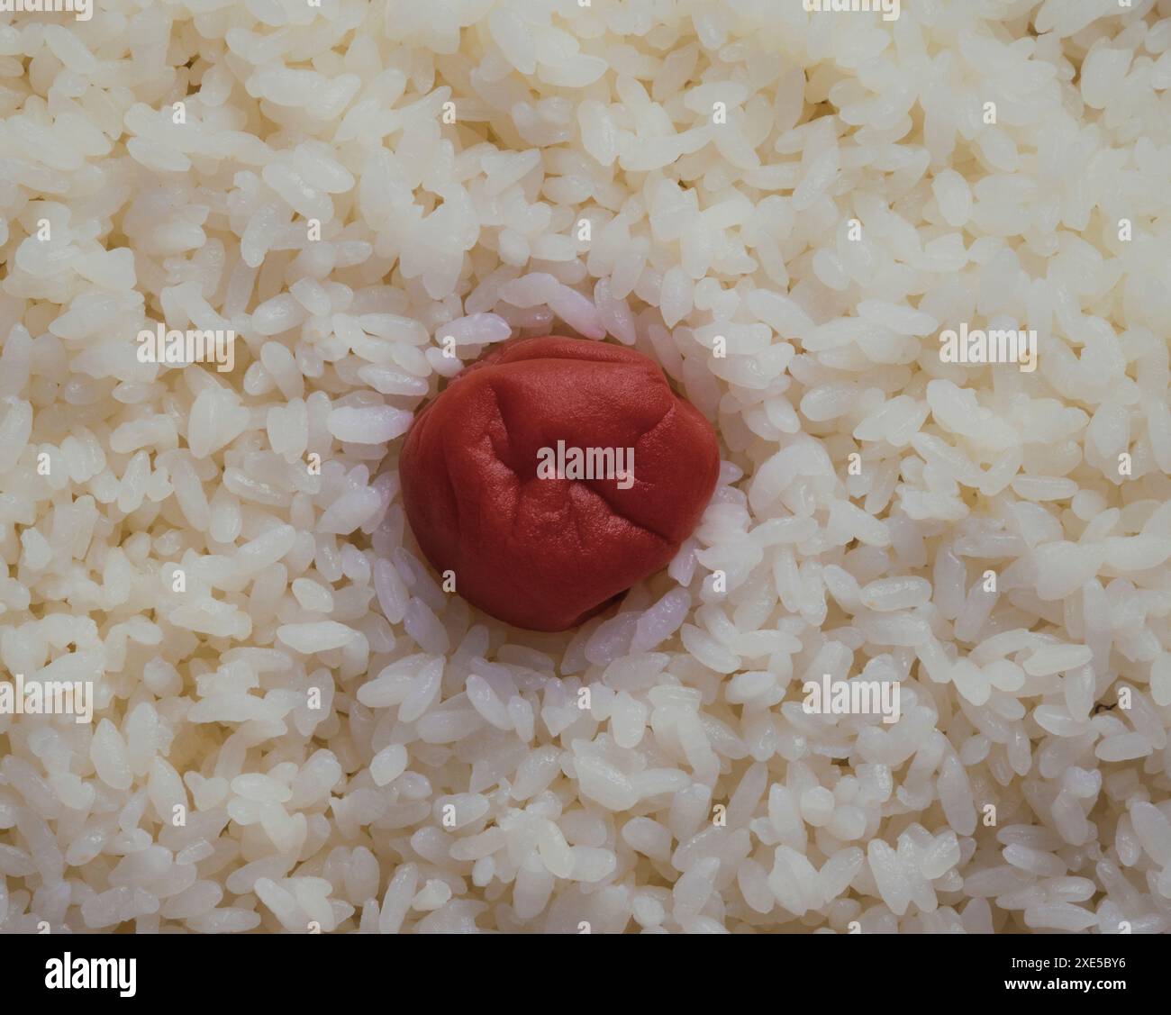 Hinomaru bento with rice and pickled plums Stock Photo - Alamy