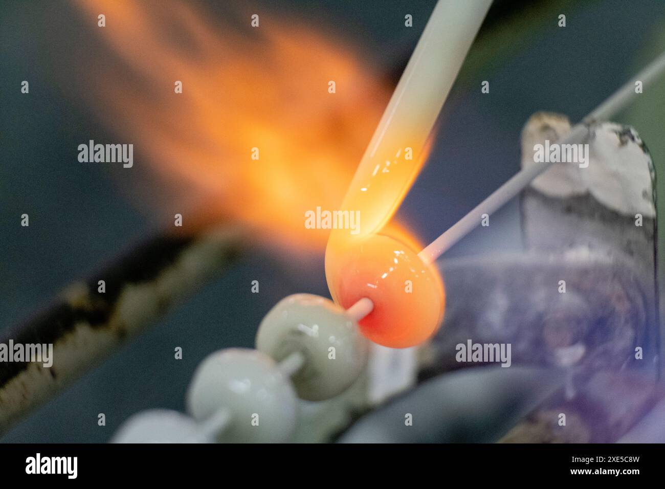 Opalina hi-res stock photography and images - Alamy