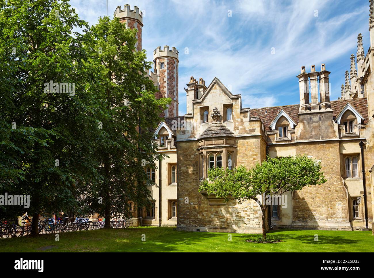 Newton's Apple Tree which grows outside the entrance to Trinity College ...