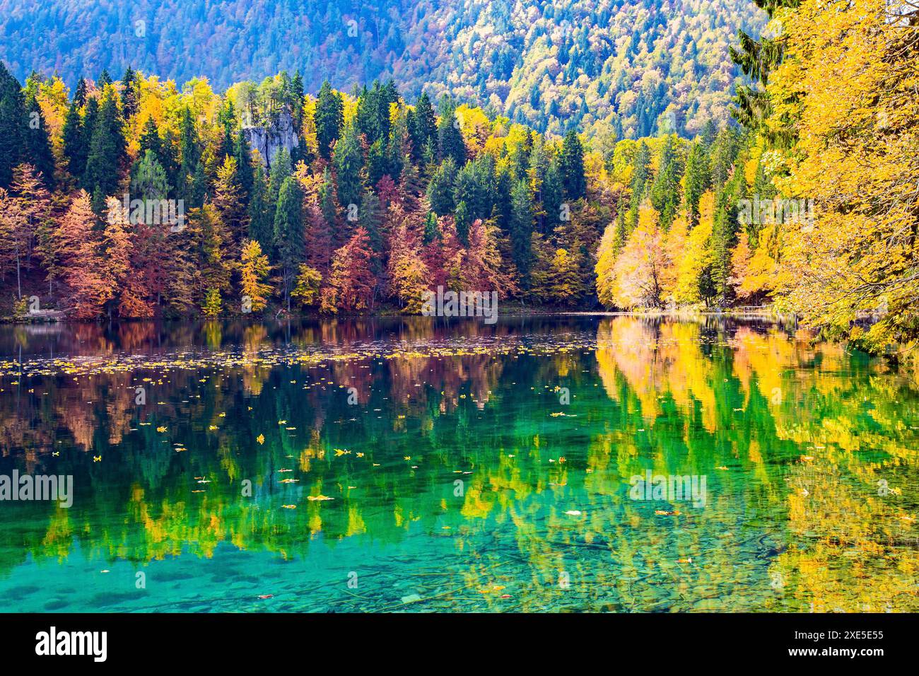 Vivid colors scenery hi-res stock photography and images - Alamy