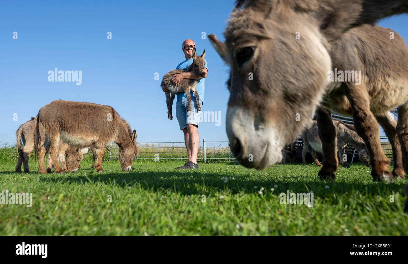 PRODUCTION - 24 June 2024, Baden-Württemberg, Ochsenhausen: Alois Rapp stands in the middle of ...