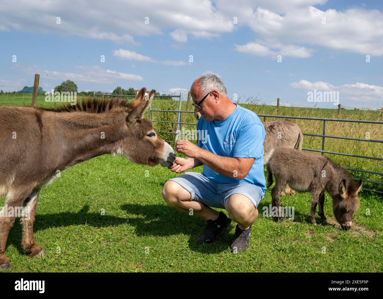 PRODUCTION - 24 June 2024, Baden-Württemberg, Ochsenhausen: Alois Rapp stands in the middle of ...