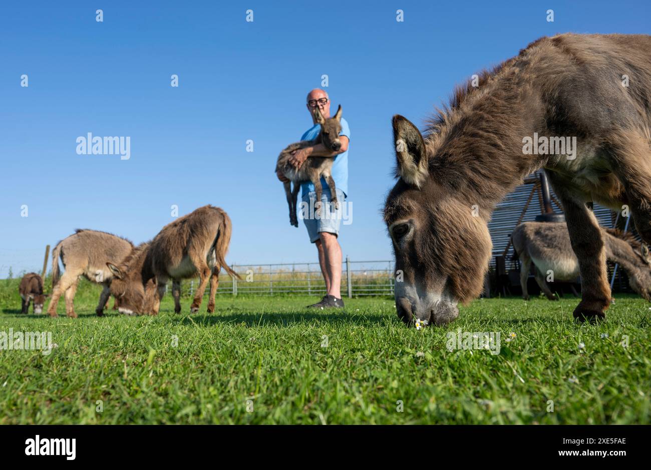 PRODUCTION - 24 June 2024, Baden-Württemberg, Ochsenhausen: Alois Rapp stands in the middle of ...