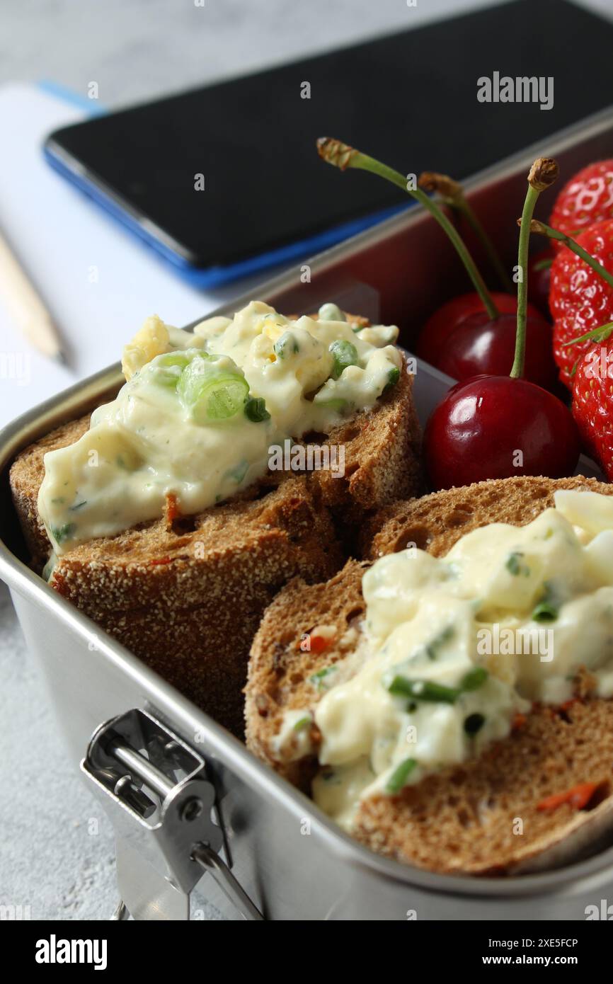 Healthy Snack Break: Egg Salad Sandwich with Berries in Stainless Steel ...