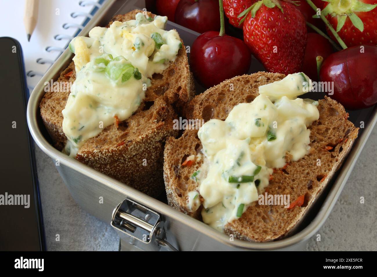 Healthy Snack Break: Egg Salad Sandwich with Berries in Stainless Steel ...