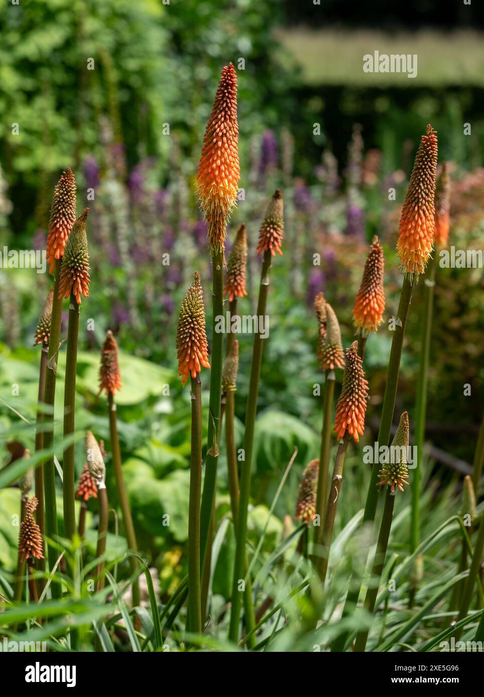 Stunning garden at Prieuré Notre Dame d'Orsan in Maisonnais, Berry ...