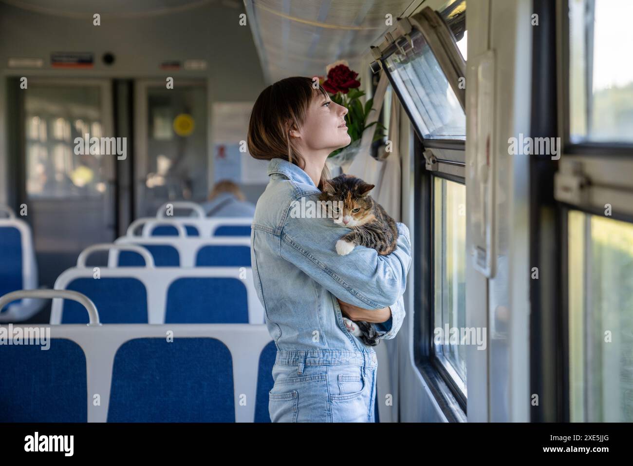 Cat traveling by train with owner. Woman cuddles her cat, soothing it ...