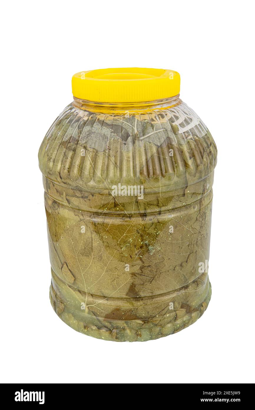 Pickled grape leaves. Grape or Vine Leaves in bottle of water for ...