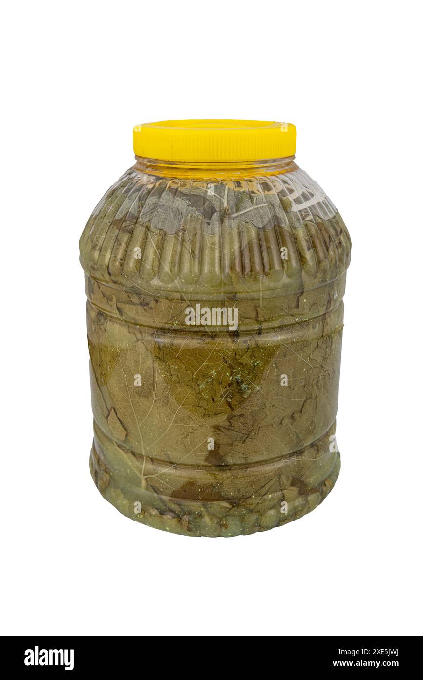 Pickled grape leaves. Grape or Vine Leaves in bottle of water for ...