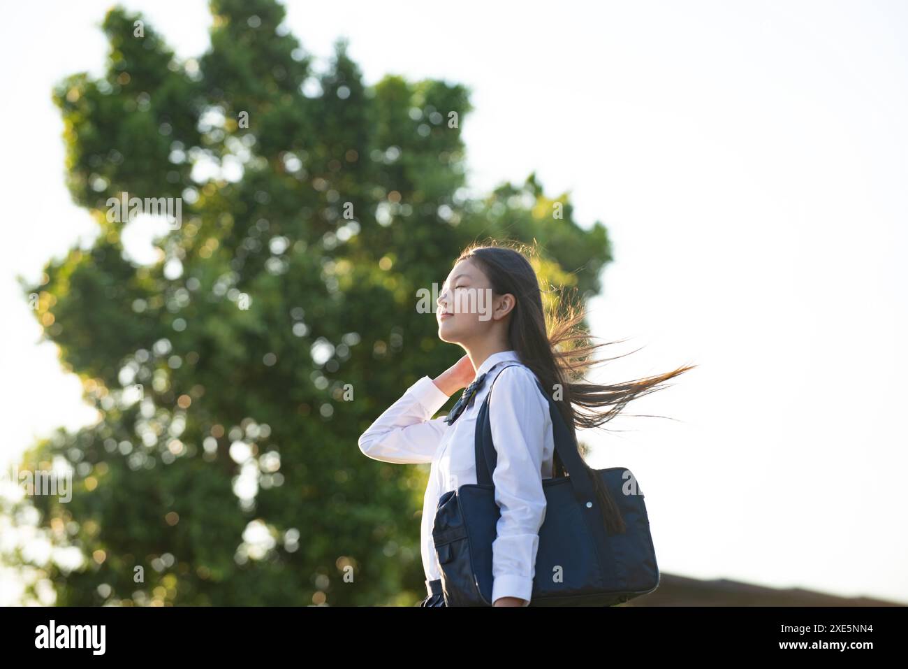 Female student in school uniform with a large tree in the background ...