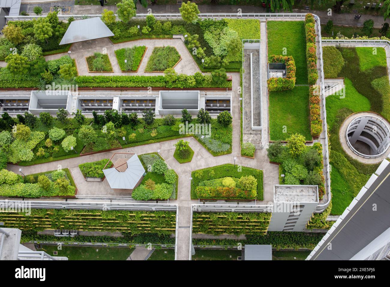 Aerial. Roof top transform into landscaping garden, trees plants on ...