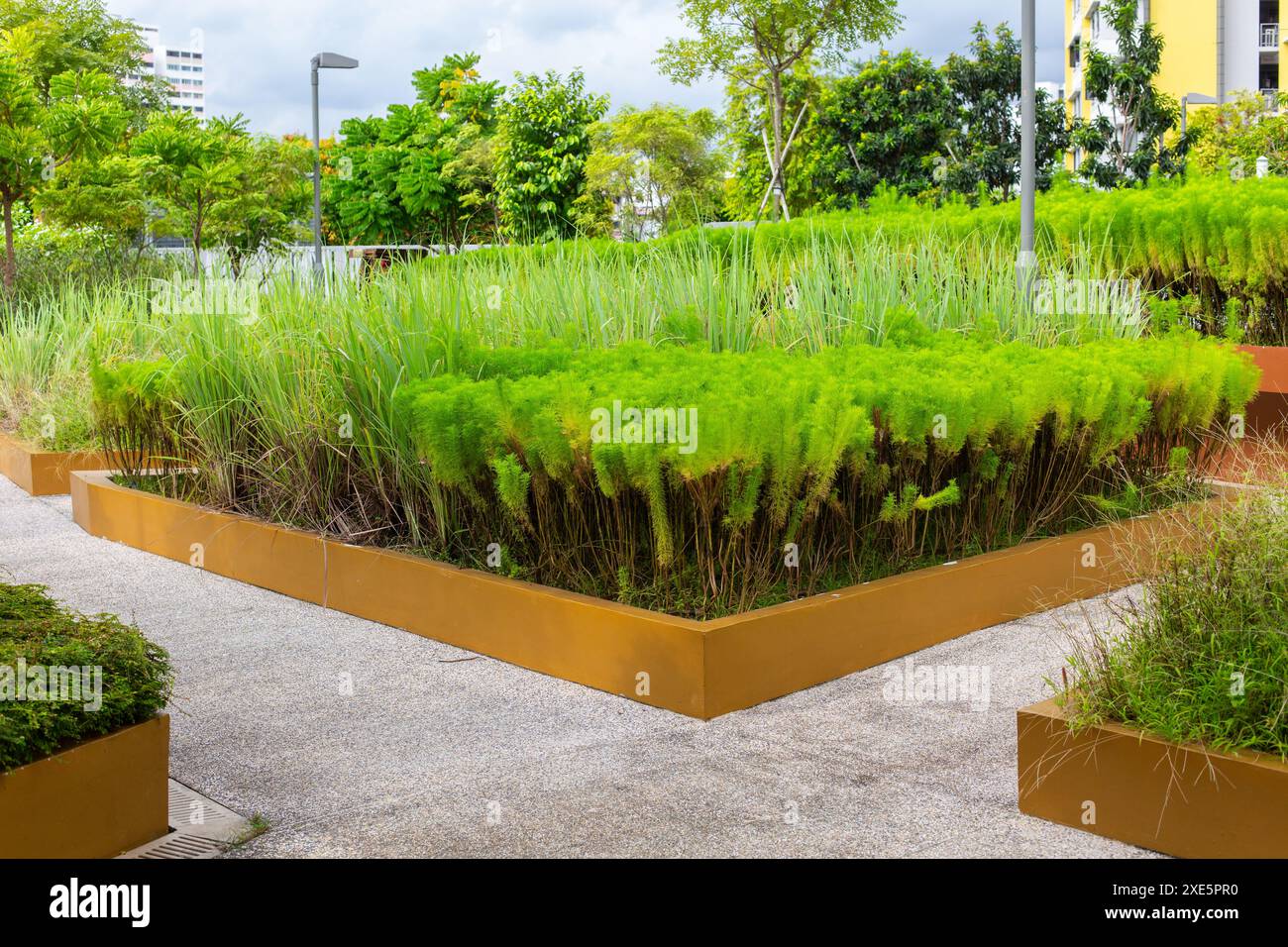 Landscaping man made green space on top of a mutli-storey carpark ...