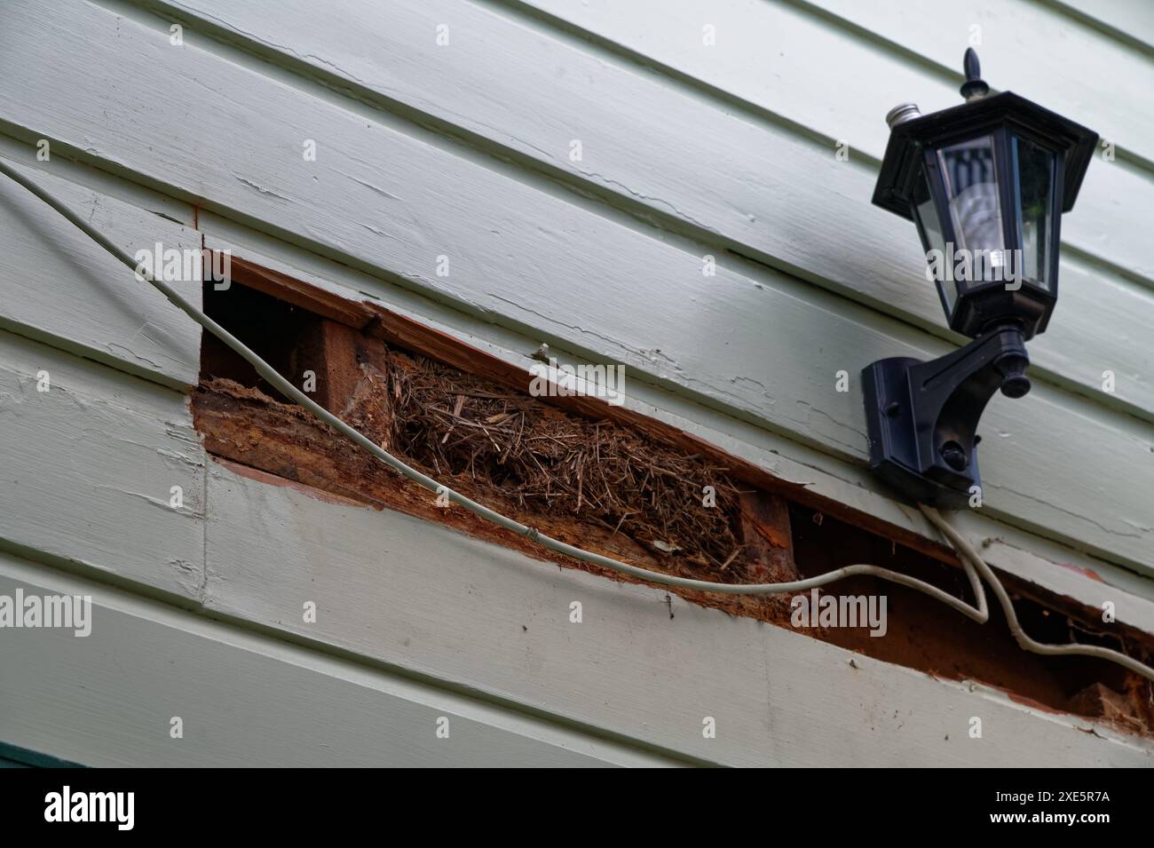 Rats house outside hi-res stock photography and images - Alamy