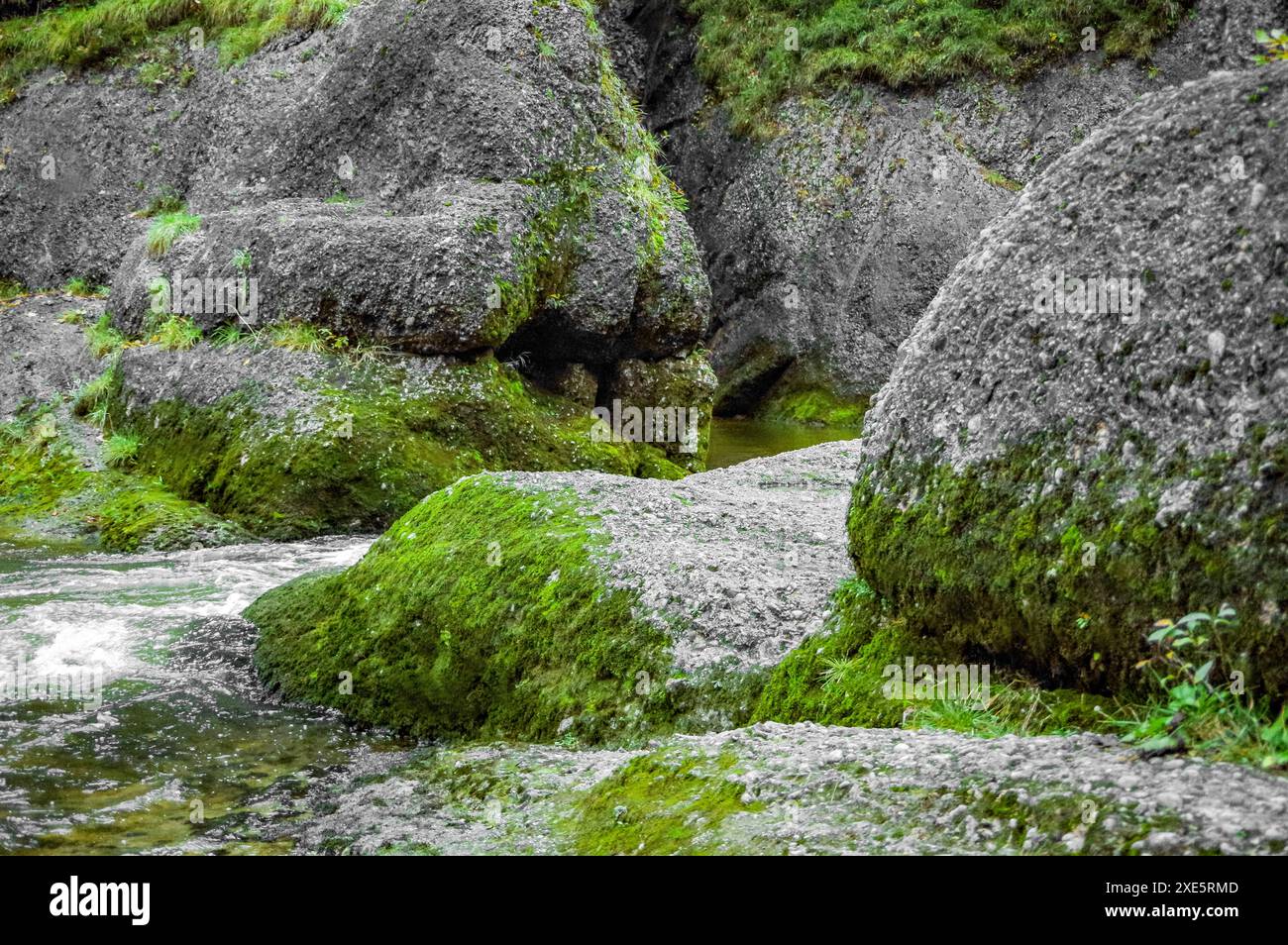 waterfall, moss, nature reserve, alps, mountains, river, creek, water ...