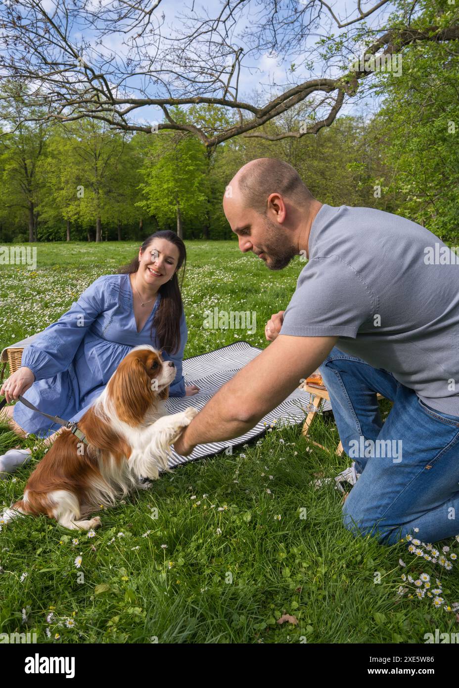 Happy pregnant couple spends time together on a picnic outdoors with a ...
