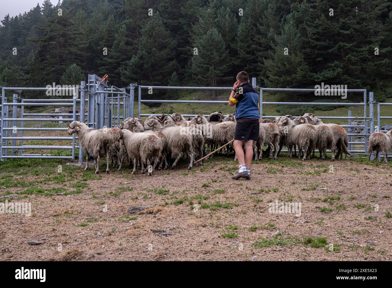 Resource gathering hi-res stock photography and images - Alamy