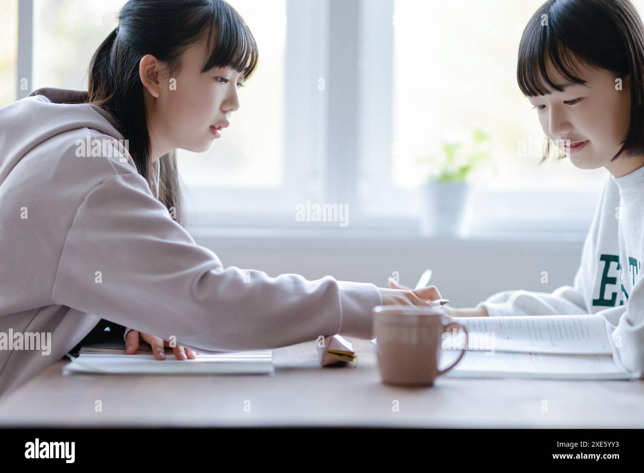 Student studying at home Stock Photo - Alamy
