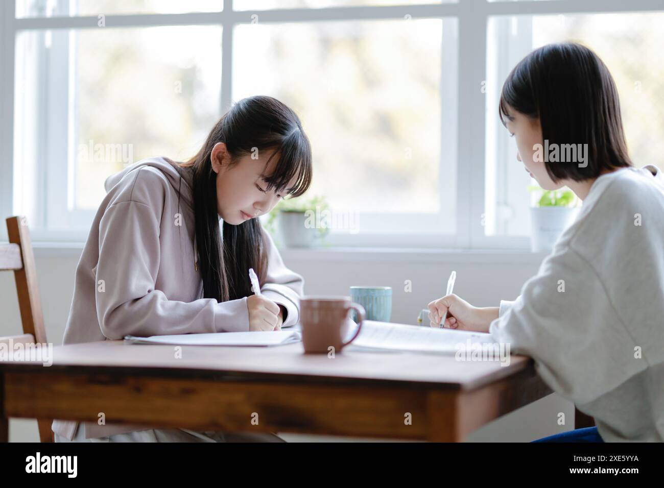 Student studying at home Stock Photo - Alamy
