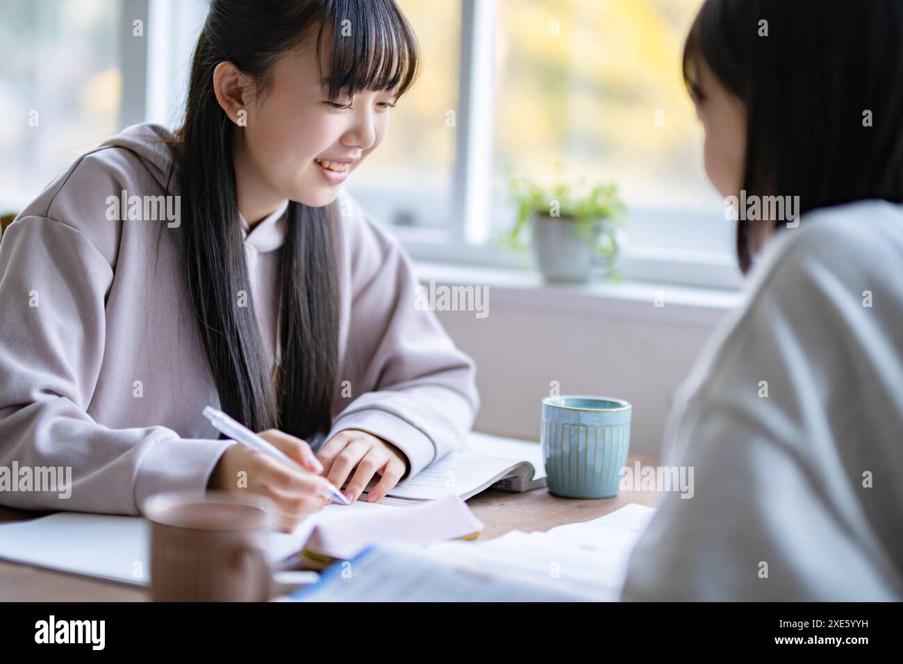 Student studying at home Stock Photo - Alamy