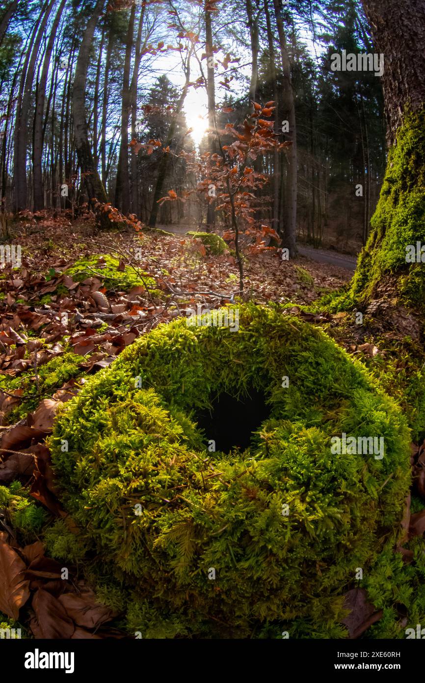 Autumn dust colors hi-res stock photography and images - Alamy