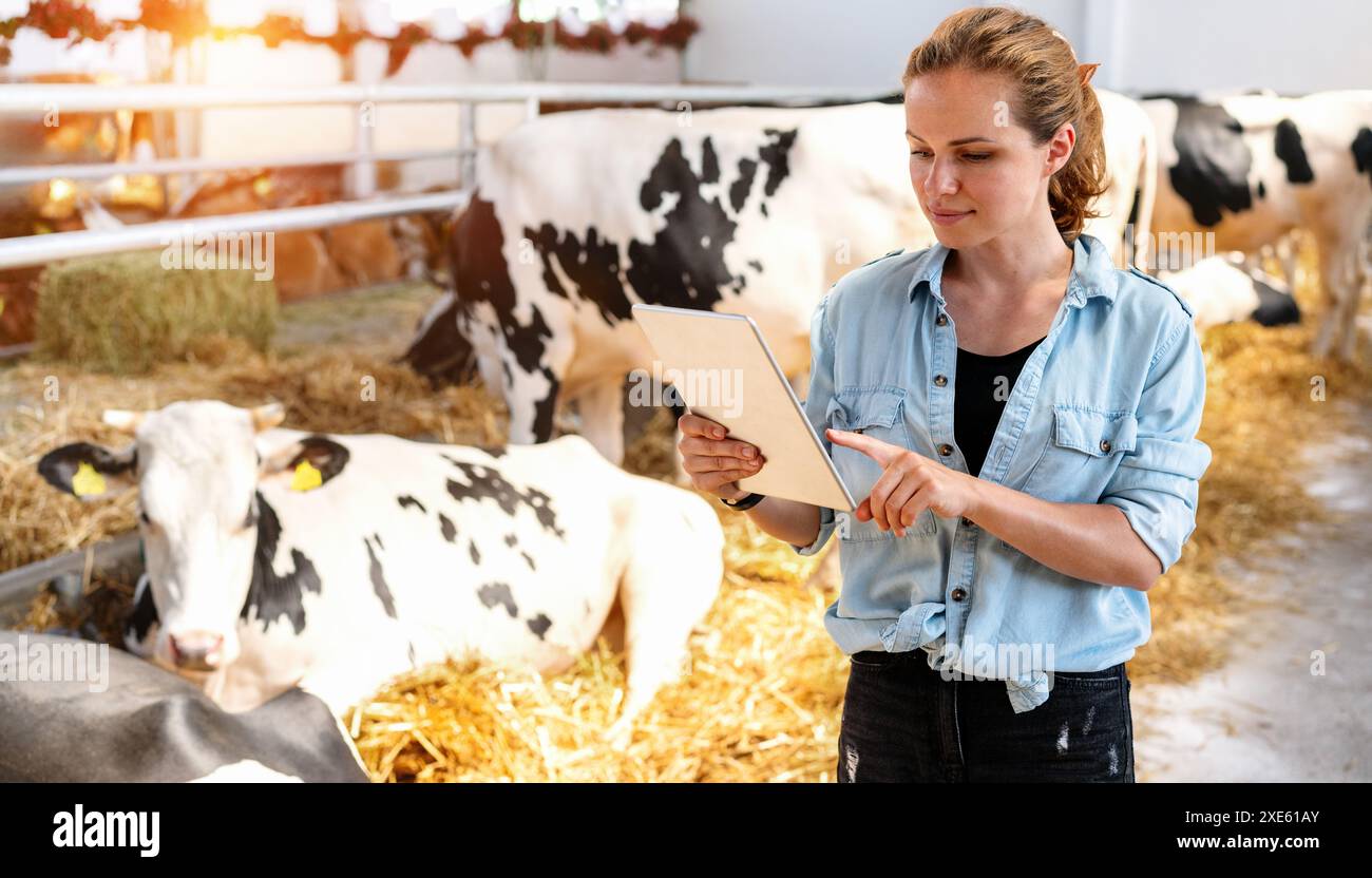 Woman farm worker inspecting livestock farm using digital tablet ...