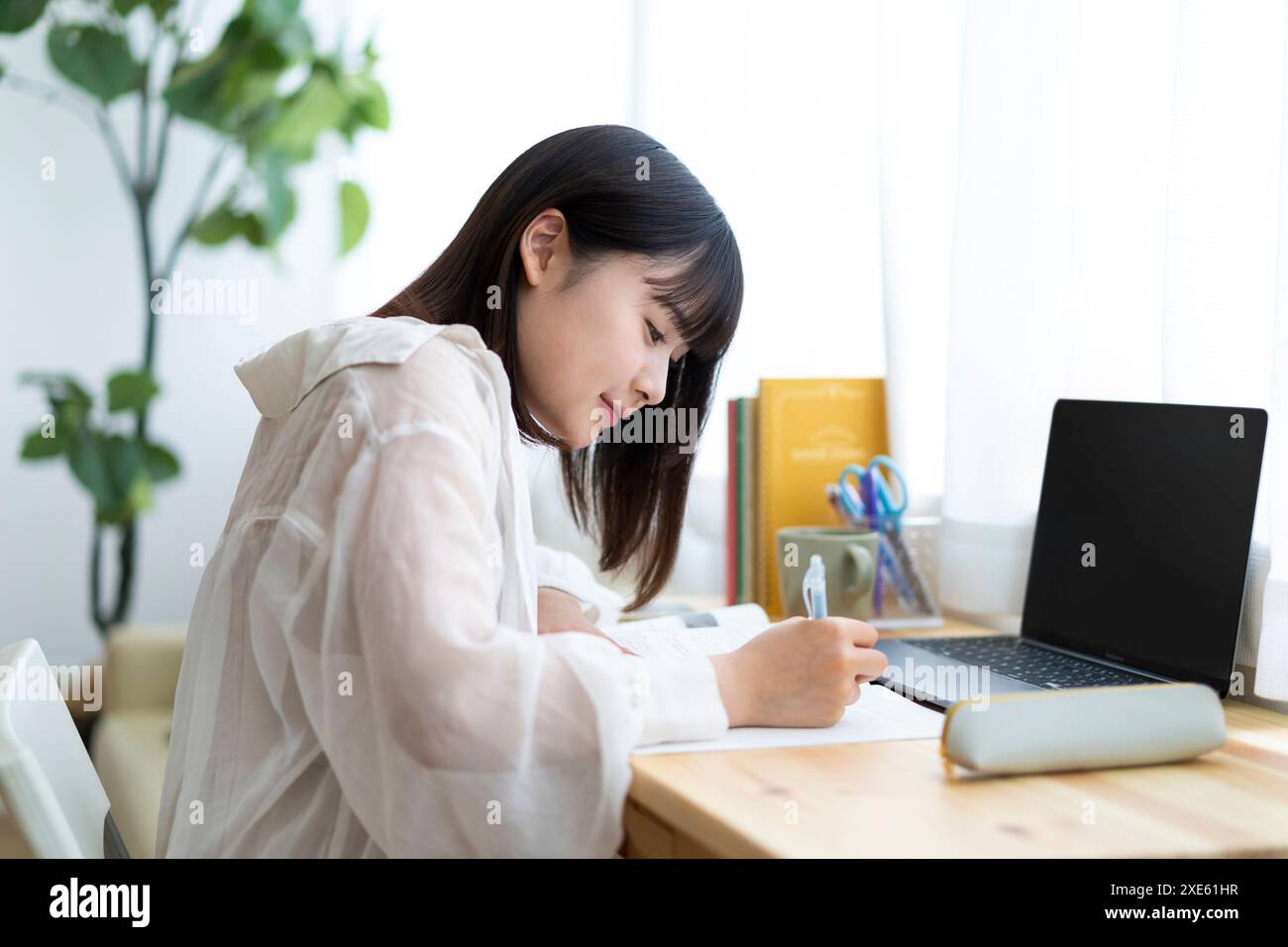 Student studying on computer Stock Photo - Alamy