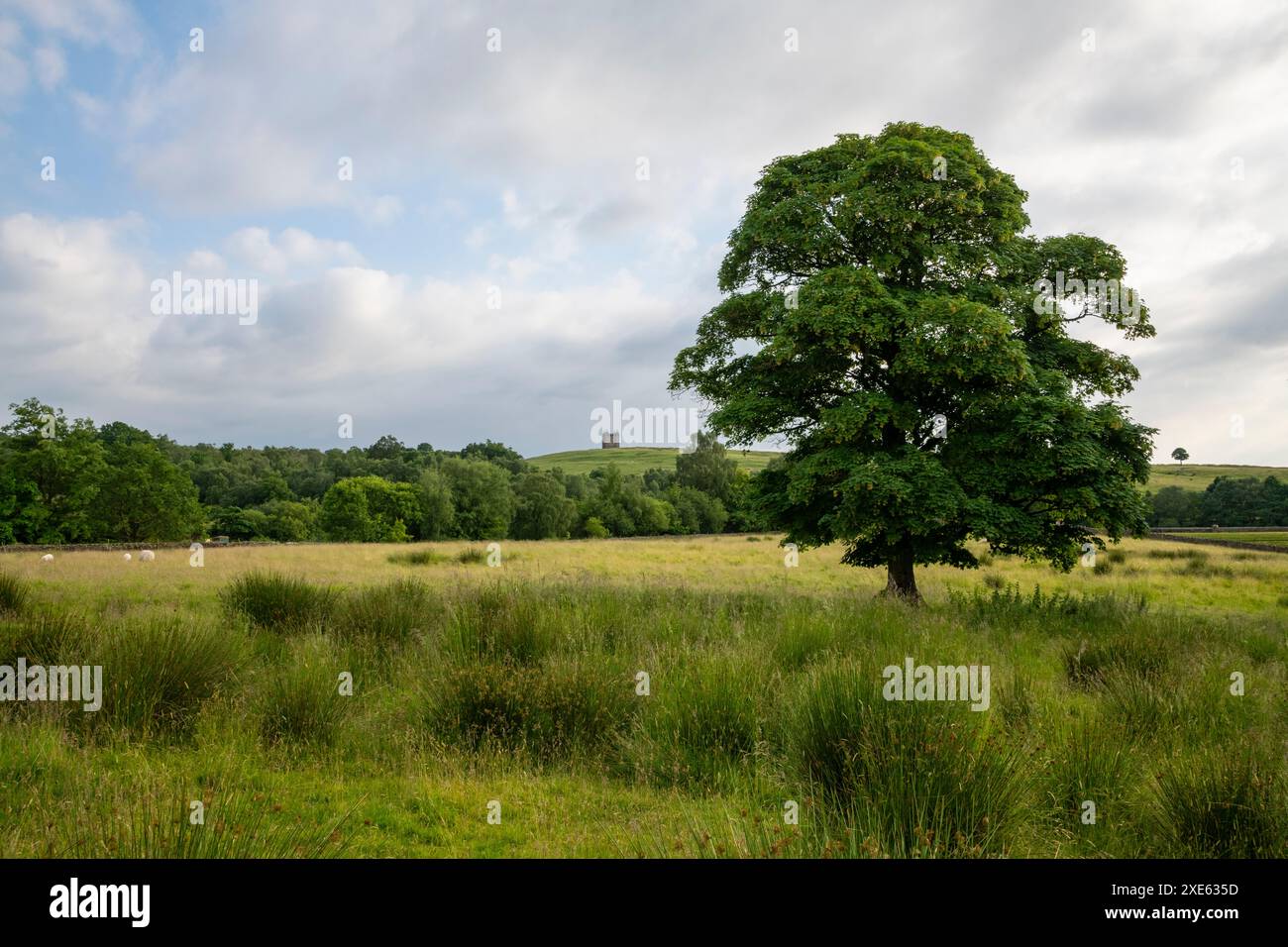 The Cage at Lyme Park in Cheshire, England. A stone tower in a ...