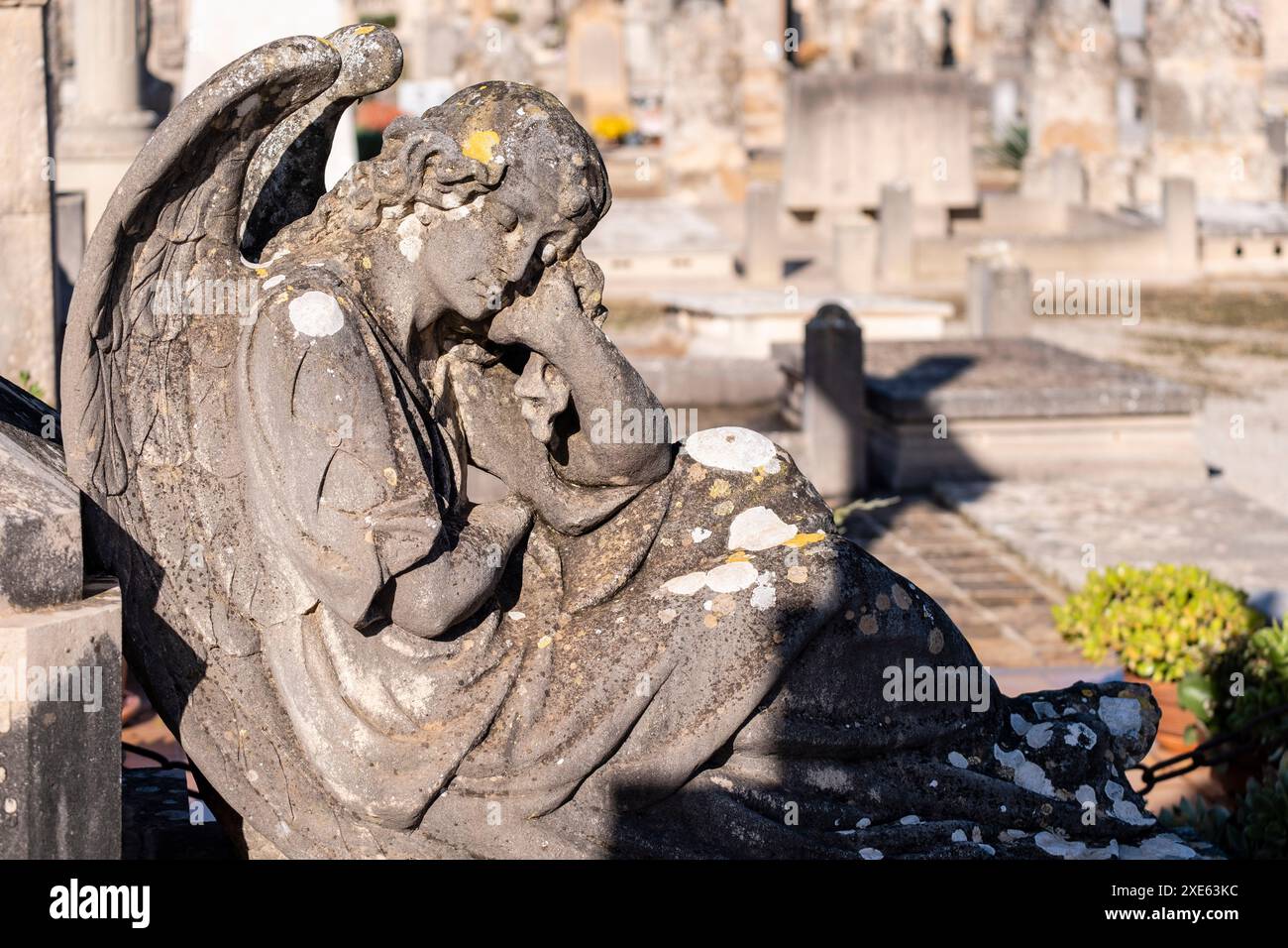 Angel of pain hi-res stock photography and images - Alamy