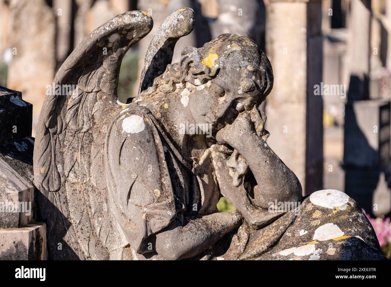 Crying angel statue grave hi-res stock photography and images - Alamy
